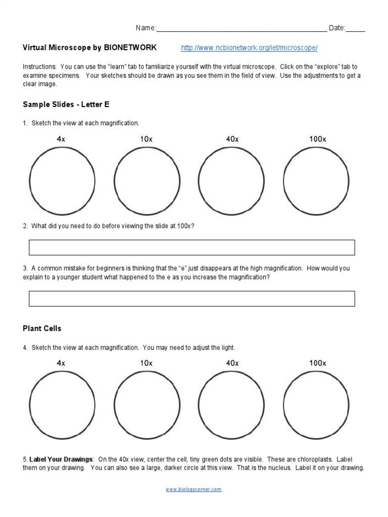 Virtual Microscope by BIONETWORK: Name: - Date | PDF | Microscope ...