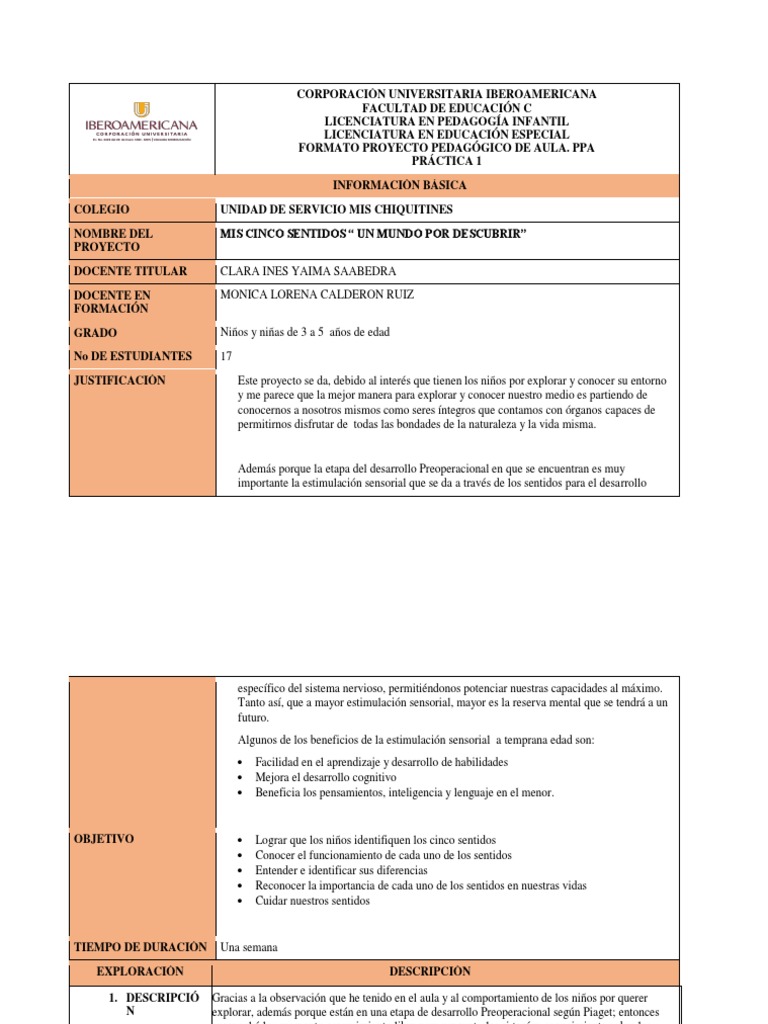 Proyecto de Aula y Plan de Clases | PDF | Aprendizaje | Cognición