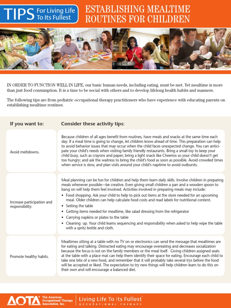 AOTA Handout - Establishing Mealtime Routines For Children | PDF ...