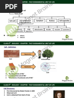 Cbse Class Ix Animal Tissue Flow Chart | PDF | Epithelium | Tissue ...