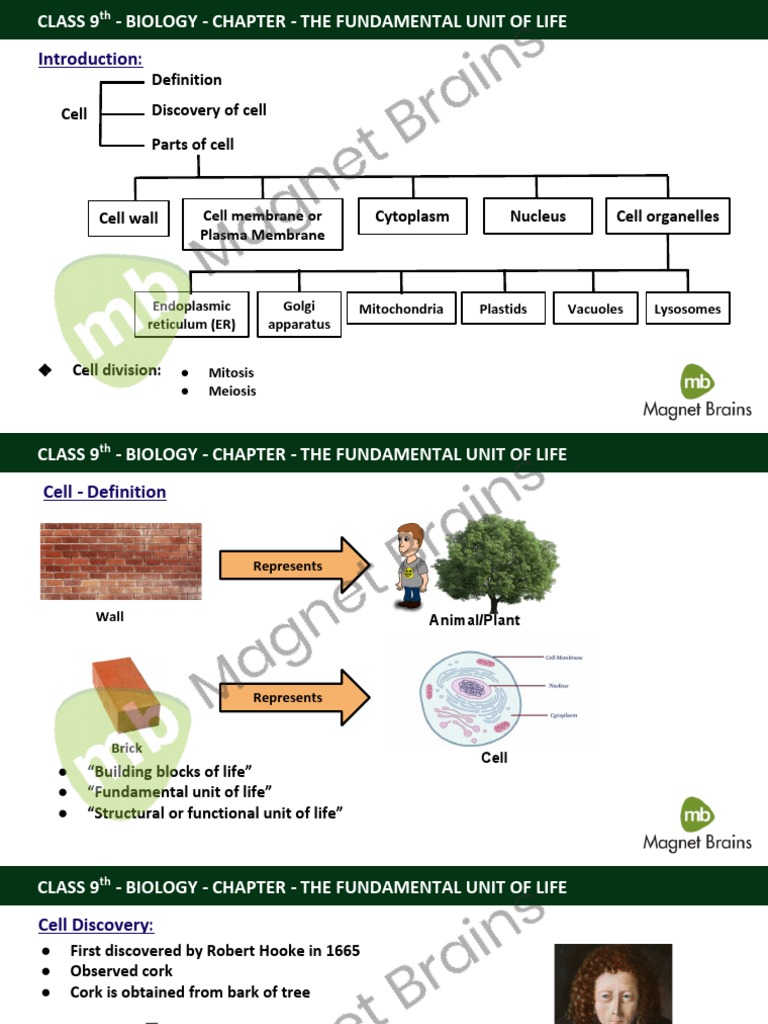 9th Biology - Chapter 1 The Fundamental Unit of Life | PDF ...
