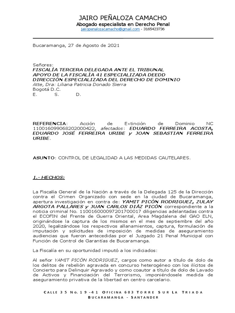 Control de Legalidad Final | PDF | Mandato | Propiedad