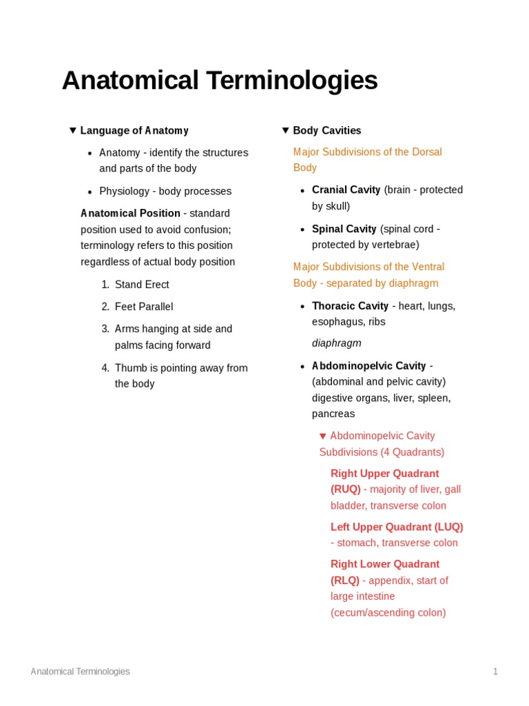 Anatomical Terminologies | PDF | Anatomical Terms Of Motion ...