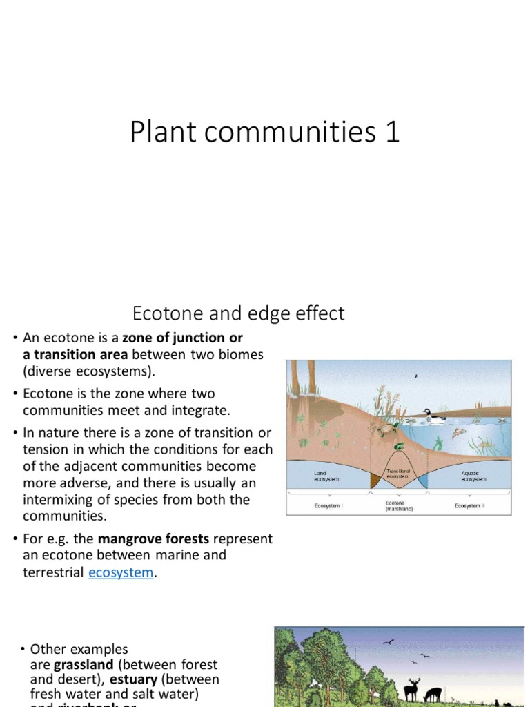 Unit3 Plant Communities PDF | PDF | Physical Geography | Conservation ...