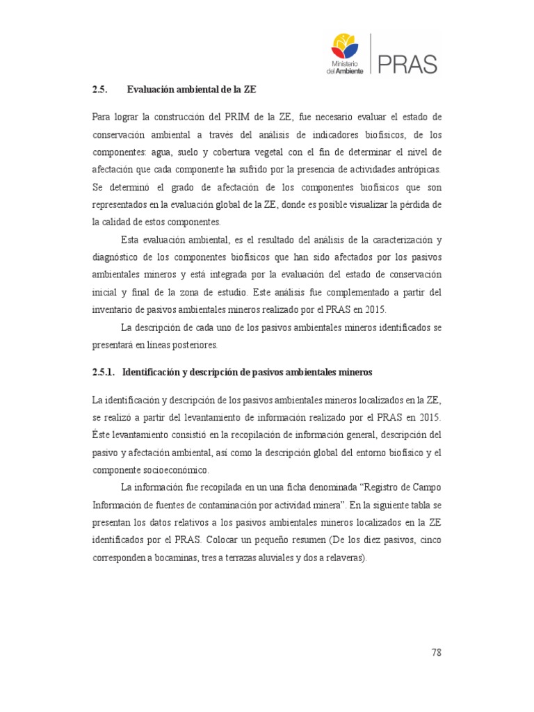 MACUCHI Pasivos-1 | PDF | Agua | Minería