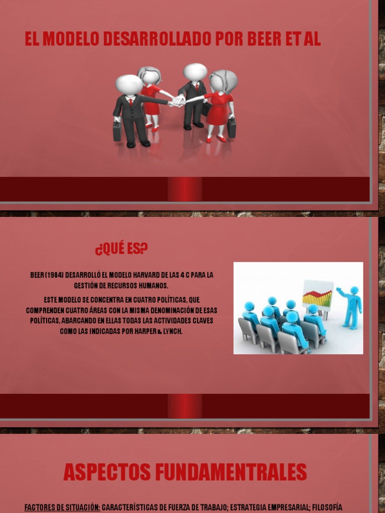 El Modelo Desarrollado Por Beer Et Al | PDF