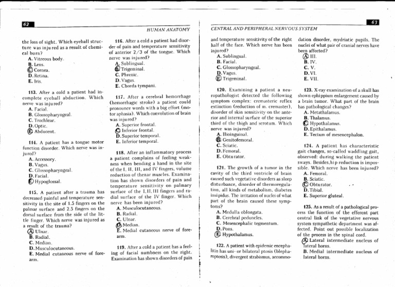 @ Utnur | PDF | Neuroanatomy | Human Anatomy