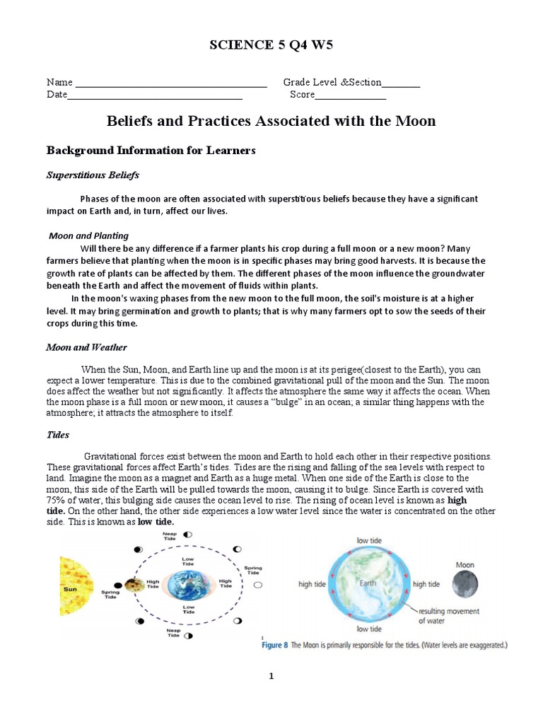 Science 5 LAS Q4 Week 5 | PDF | Moon | Tide