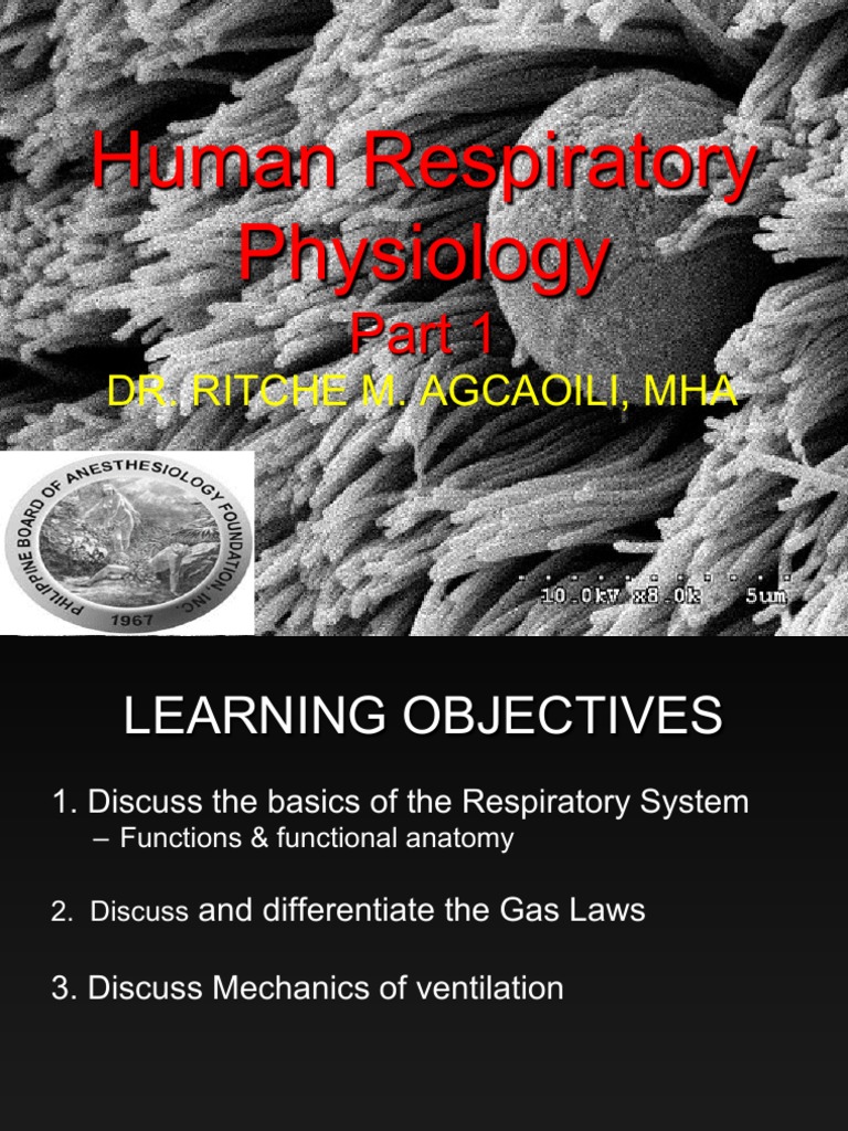 Respiratory Physiology Part 1, Revised 2020 | Download Free PDF ...