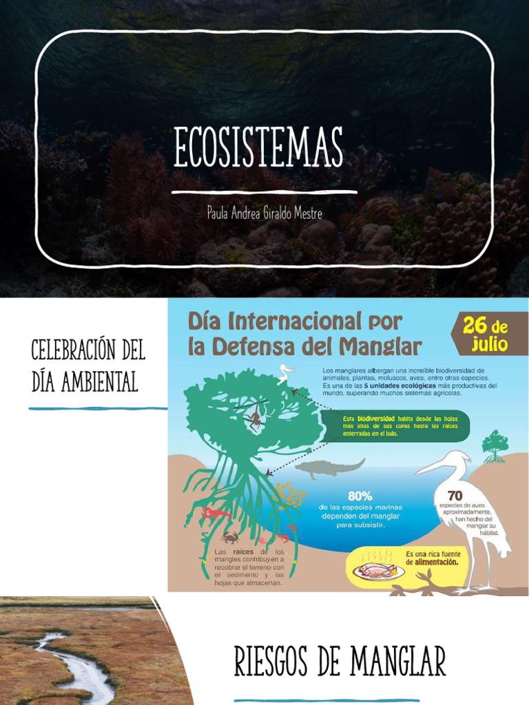 Ecosistemas | PDF | Ecosistema | Habitat