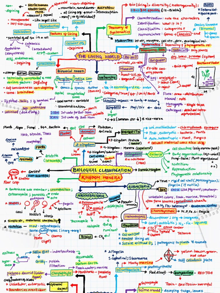 Merged MindMaps | PDF