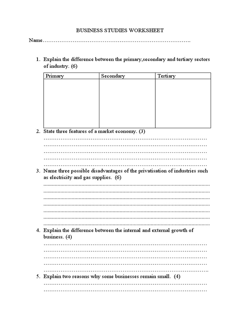 Business Studies Worksheet | PDF | Economics | Economies