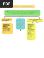 Mapa Conceptual de Metacognicion | PDF | Teoria de la mente | Neurociencia