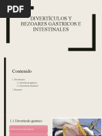 Inserto Esfinto Plus | PDF | Medicina CLINICA | Especialidades Medicas