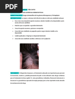 Prueba RPR: Procedimiento y Control | PDF | Especialidades Medicas ...