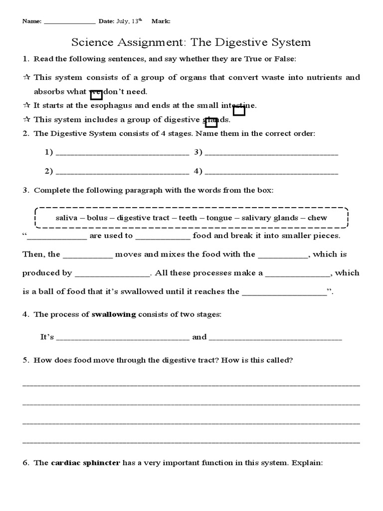 Digestive System Science Quiz | PDF | Human Digestive System ...