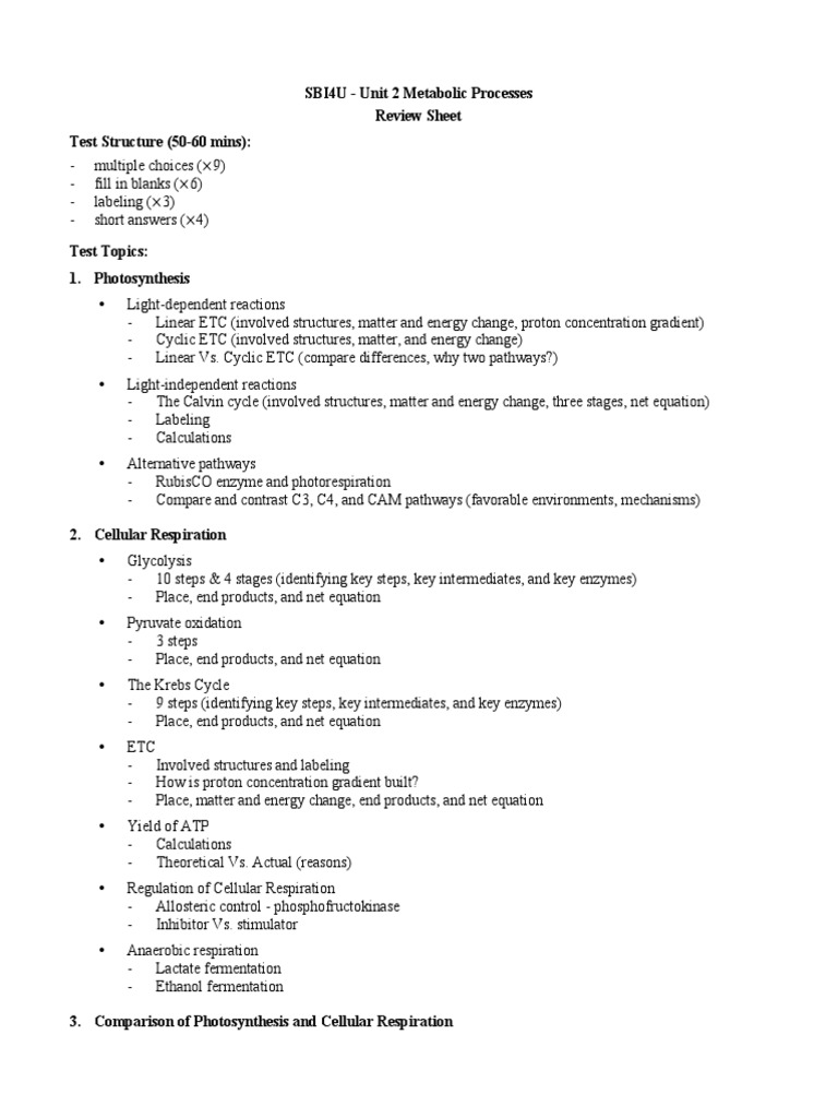 SBI4U Unit 2 Metabolic Processes Review | PDF