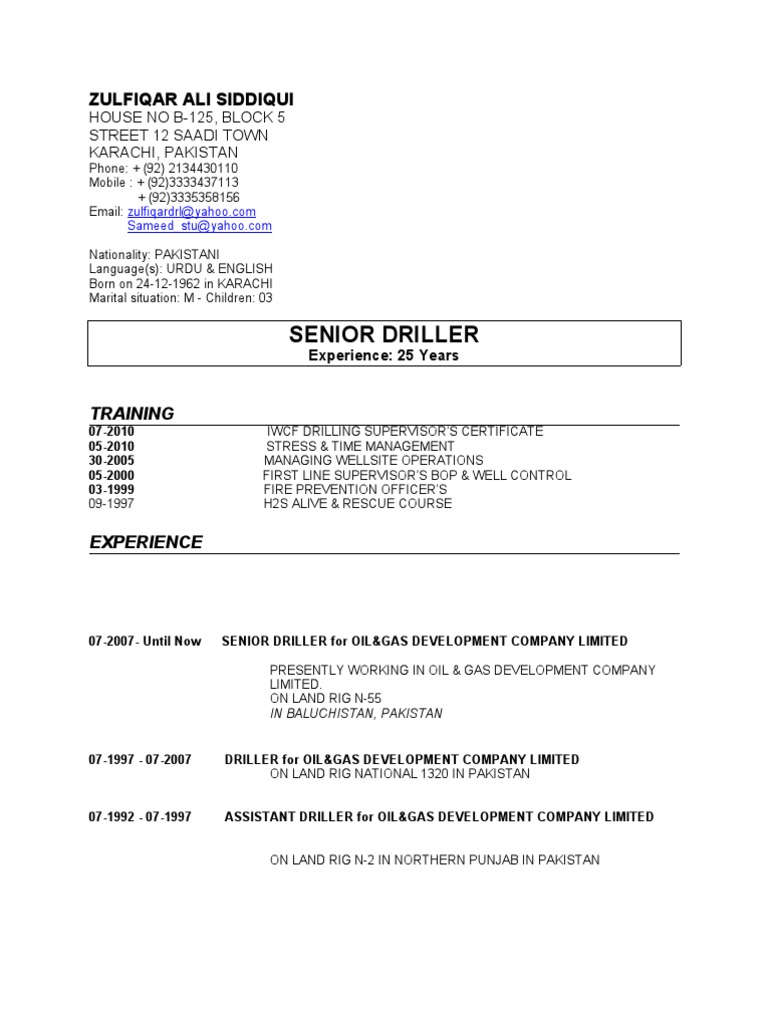 Sample CV Format | PDF