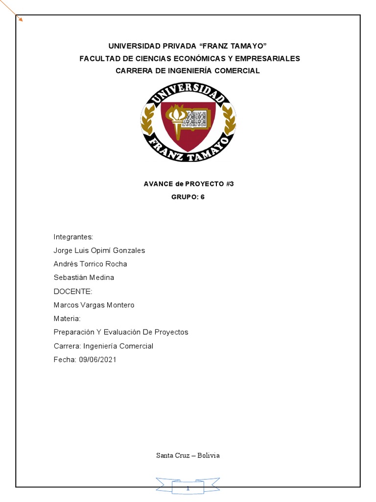 Presentacion Final Del Proyecto Hito 5 | PDF | Investigación de mercado | Mercado (economía)