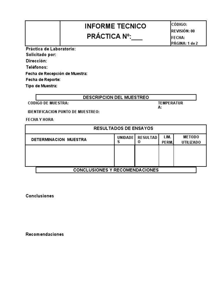Modelo Informe Tecnico | PDF