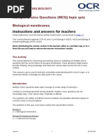 GQ ASC Adult Women | PDF | Autism Spectrum | Autism