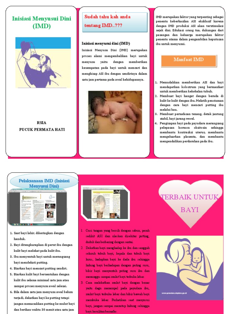 Manfaat dan Langkah IMD untuk Bayi | PDF | Pengembangan Diri ...