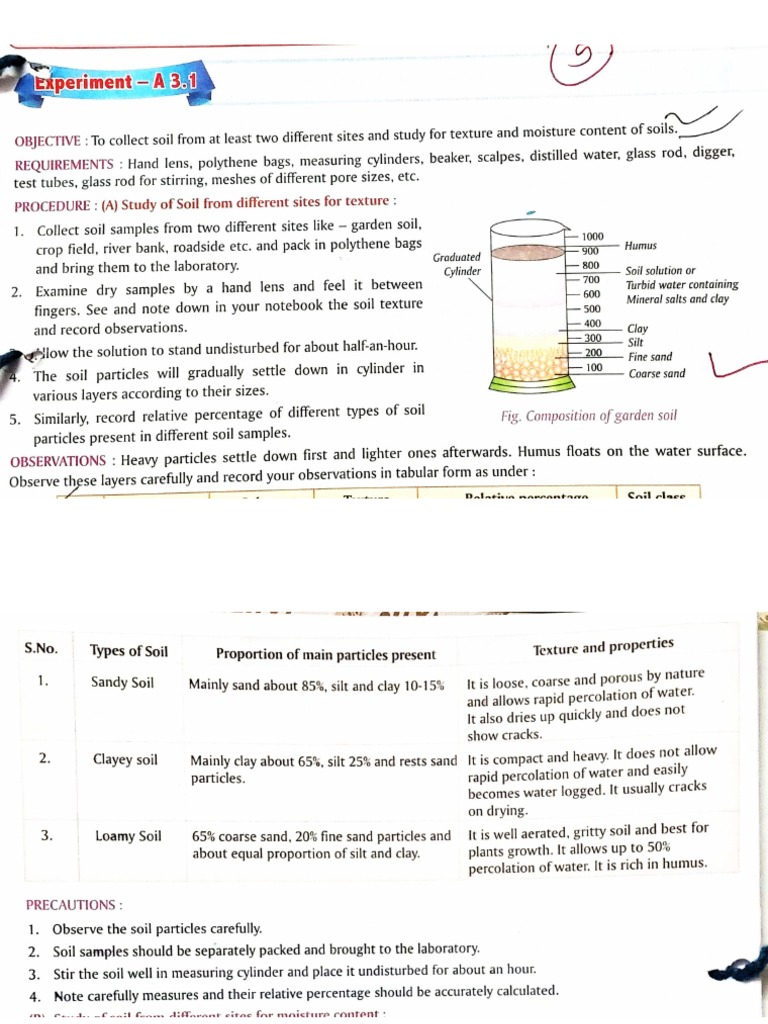 XII Experiments | PDF