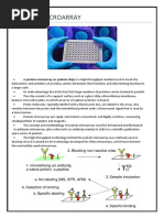 Rosie The Transgenic Cow | PDF