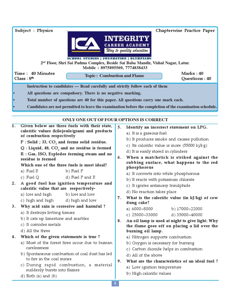 Class 8 Combustion and Flame Worksheet | PDF | Combustion | Fires
