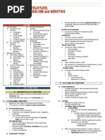 Trans Template | PDF | Arial | Typefaces