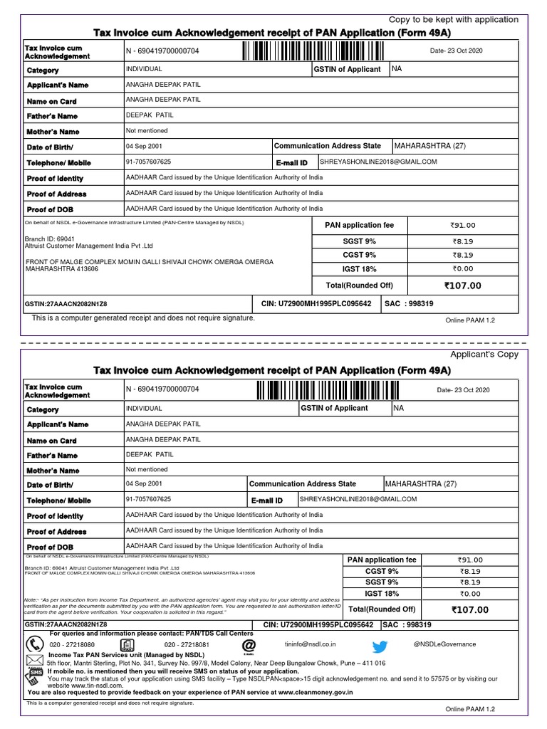 Processing an Individual's Application for a Permanent Account Number ...