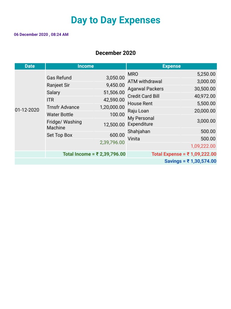 Day To Day - Expenses | PDF