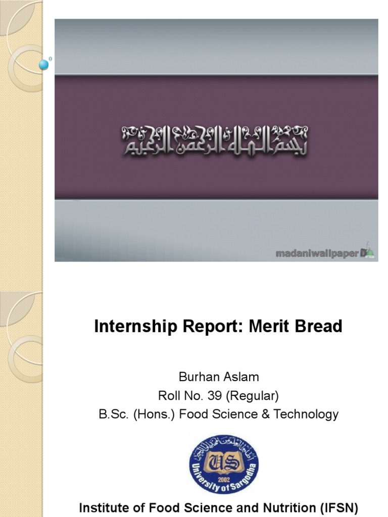 Merit Bread Internship Report Burhan | PDF | Breads | Flour