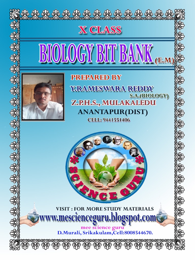 10 Biology Bits | PDF | Heart | Circulatory System