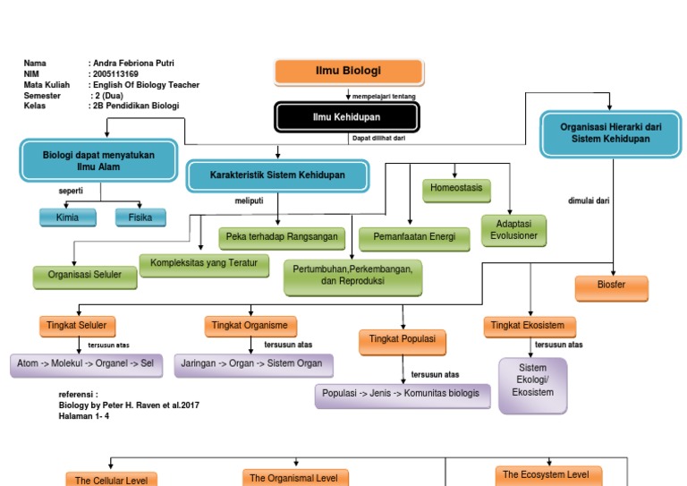 Peta Konsep Yang Benar | PDF