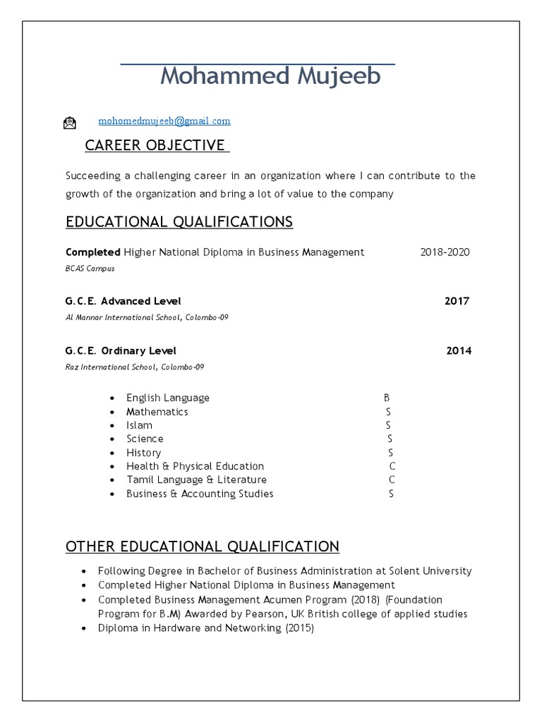 My CV Updated Version | PDF | Diploma | Educational Stages
