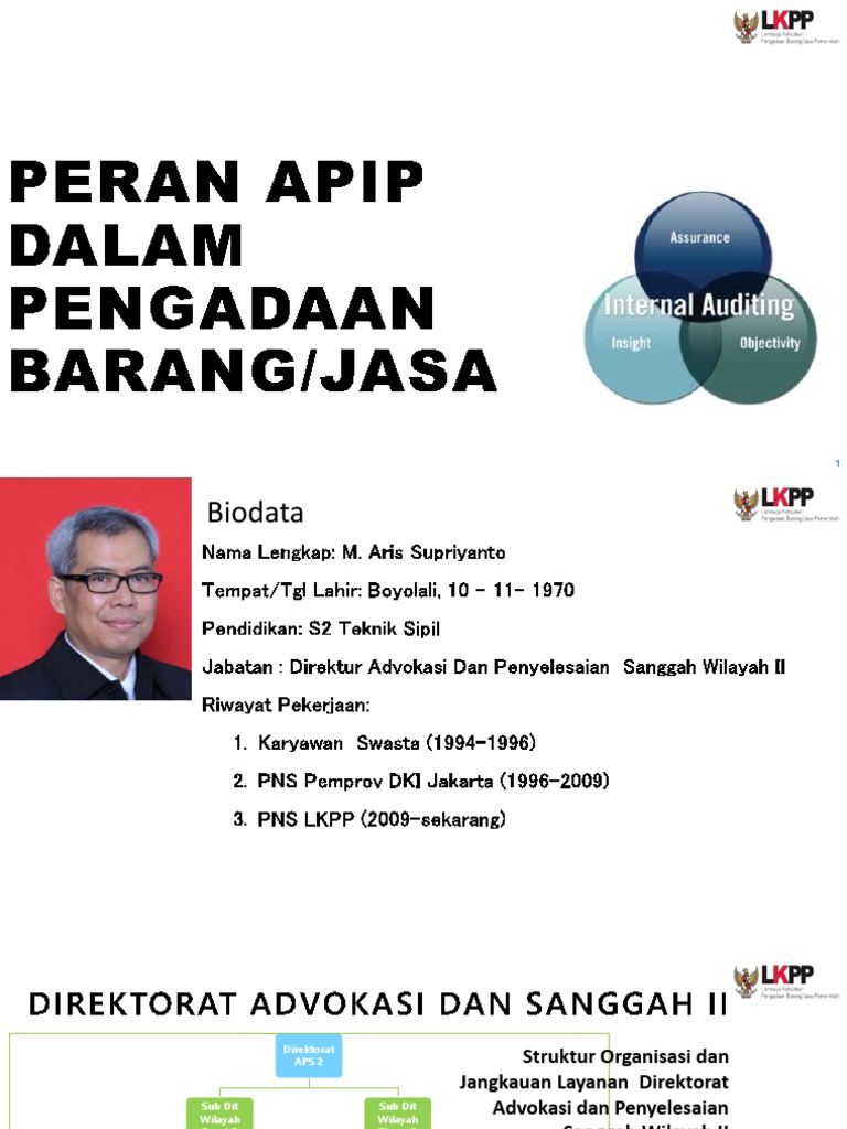 Peran APIP Dalam Pengawasan Pengadaan Barang Jasa 1322 | PDF