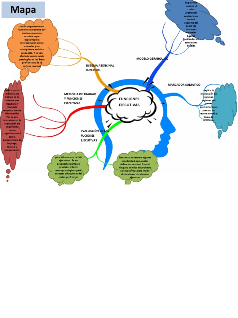 Diagrama De La Corteza Prefrontal