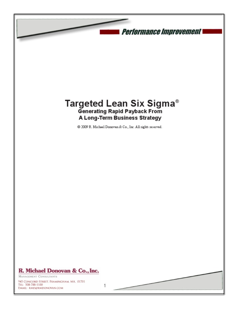 Lean 6s White Paper | PDF | Business