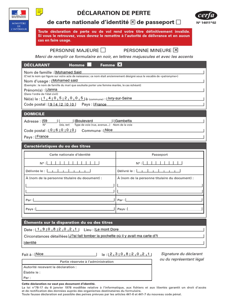 Cerfa: Déclaration de Perte de Carte Nationale D'identité de Passeport | Download Free PDF ...