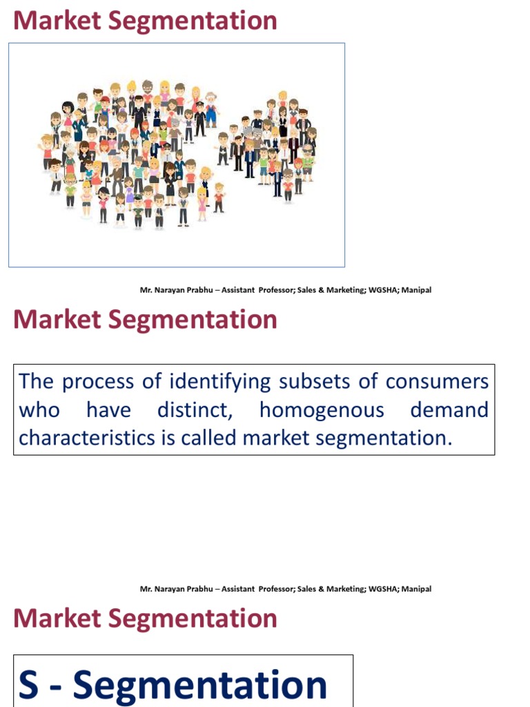 Market Segmentation | PDF | Marketing | Market Segmentation