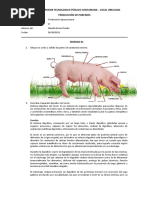Anatomía y Fisiología Digestiva Caprina | PDF | Rumiante | Bioquímica
