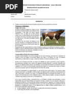 Resumen Bos Taurus | PDF | Vacas | Leche