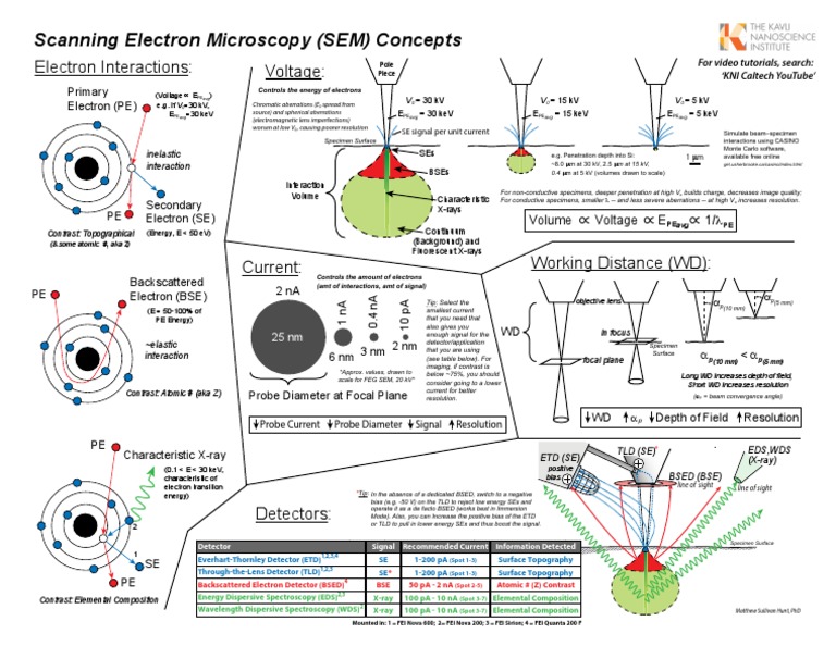 SEM Diagrams Handout (Concepts) | PDF | Scanning Electron Microscope ...