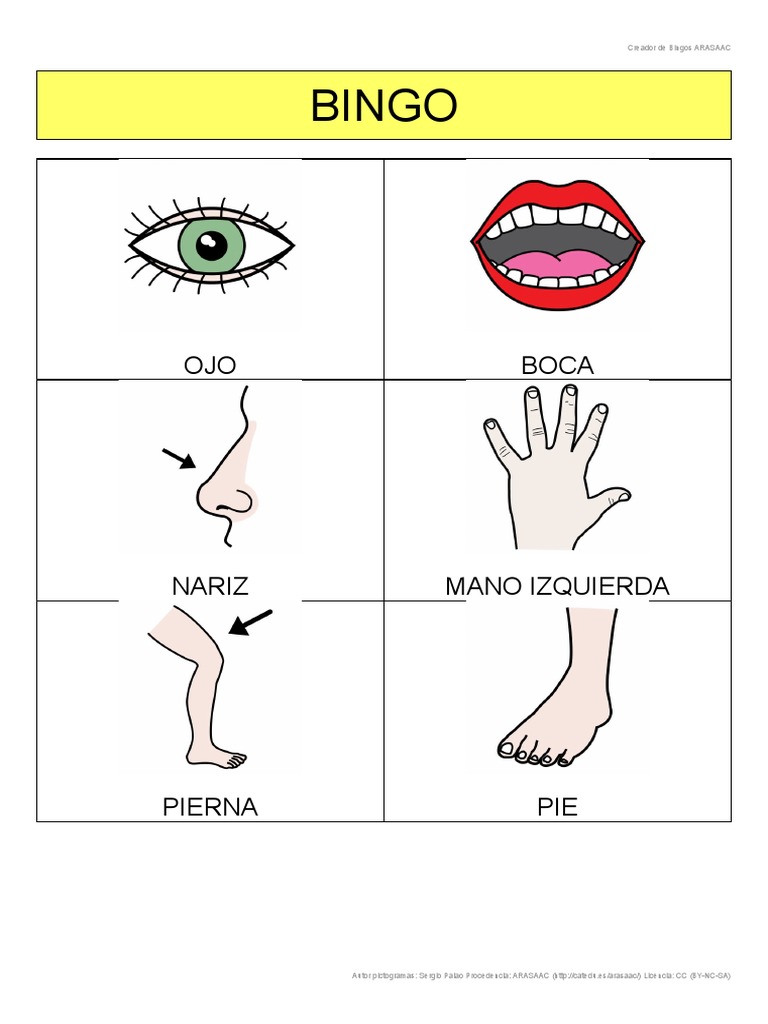 Bingo de Partes del Cuerpo ARASAAC | PDF