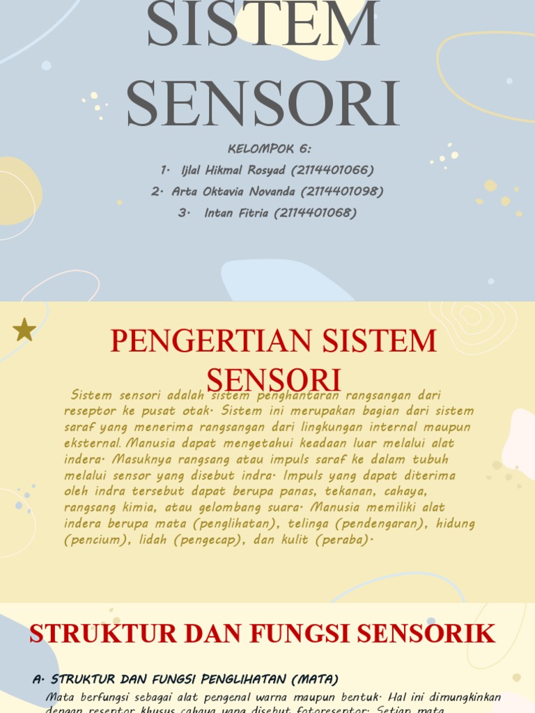 Sistem Sensorik Manusia | PDF