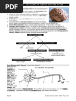 Neurotransmitters and Its Food Sources | PDF | Pickling | Norepinephrine