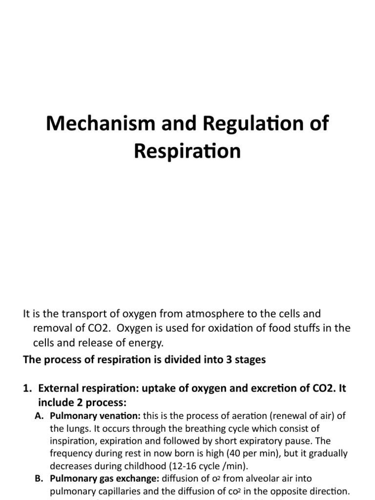 1-Mechanism and Regulation of Respiration Modified | PDF | Respiratory ...
