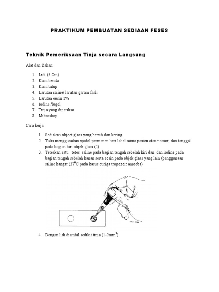 Pembuatan Sediaan Feses - 1 | PDF