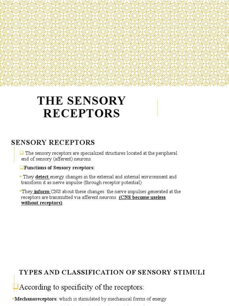 Types and Functions of Sensory Receptors | PDF | Self-Improvement ...